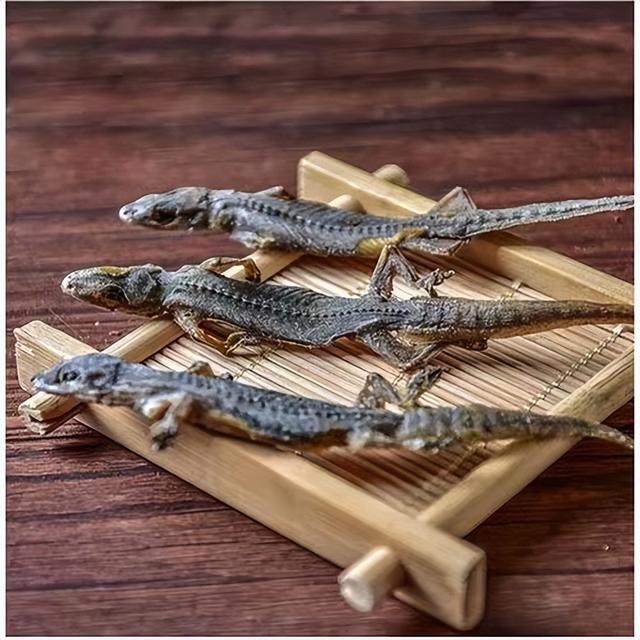 Sharing anti-cancer Chinese medicine - gecko, fighting poison with ...