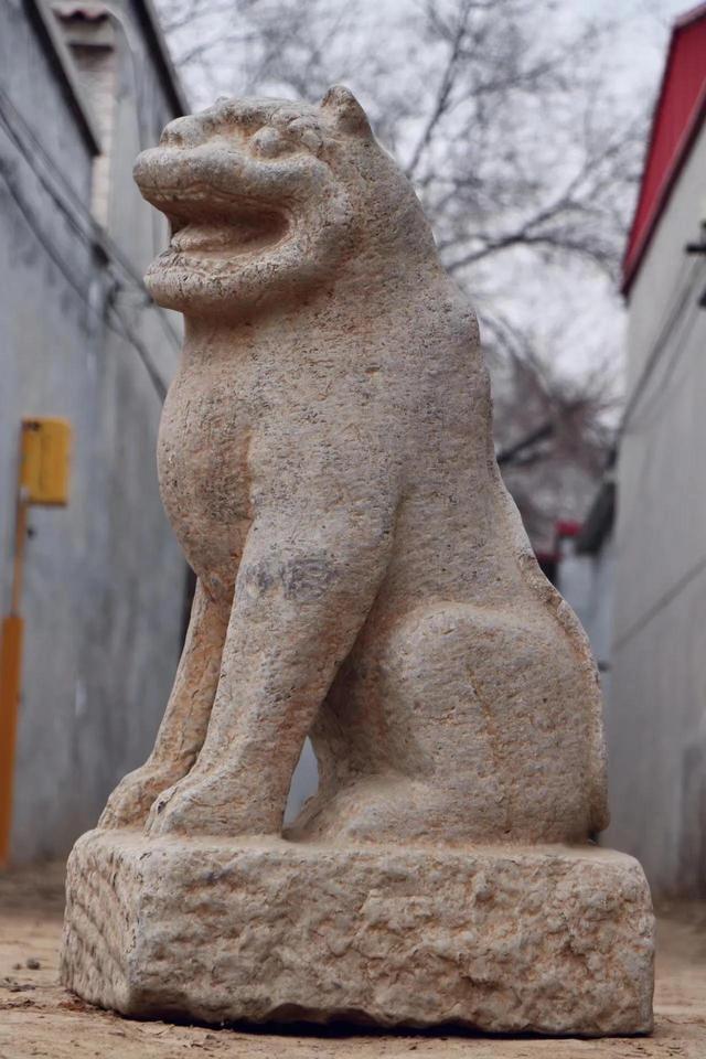 Auspicious beast - Shihu - iMedia