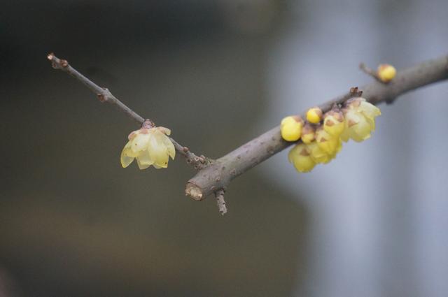 Mr. Qian Mu: Fan Ye's "Book of the Later Han Dynasty" and Chen Shou's ...