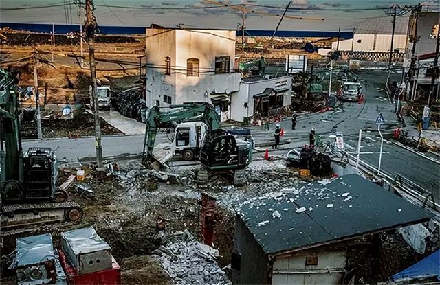 12 years after Fukushima nuclear radiation: mutated wild animals run ...
