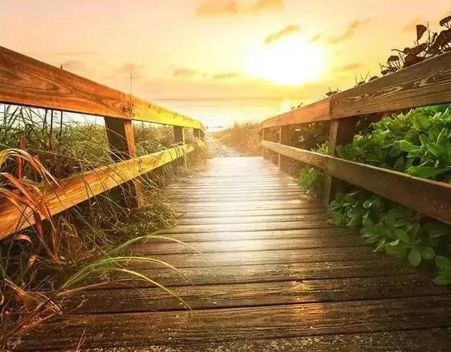 With these 10 books, my knees are swollen. I hope you read it carefully ...