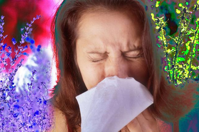 Spring pollen allergies, five common sense you need to know - iMedia