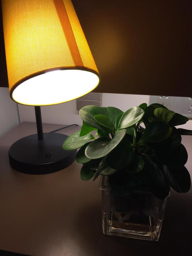 Read "Brainwashing" at nine o'clock - iMedia