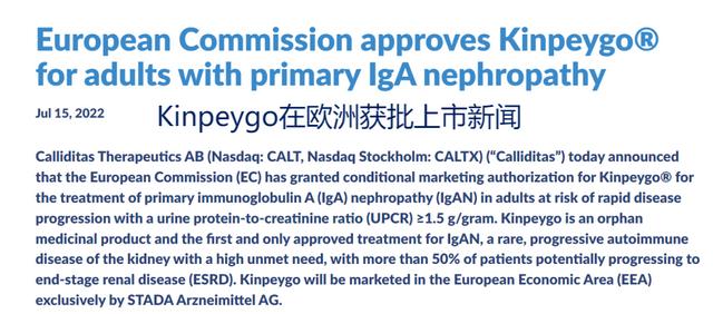 Budesonide Sustained-release Capsules Kinpeygo: The first new drug for ...