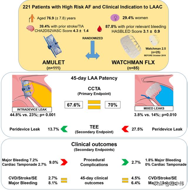 Amulet vs Watchman for left atrial appendage closure: the SWISS-APERO ...