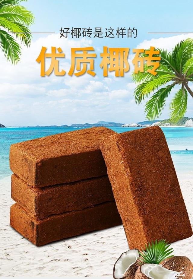 What are coconut bricks and coconut bran?What's the difference? - iMedia