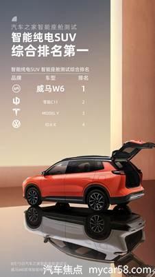 WM Motor W6 won the first comprehensive ranking in the professional ...