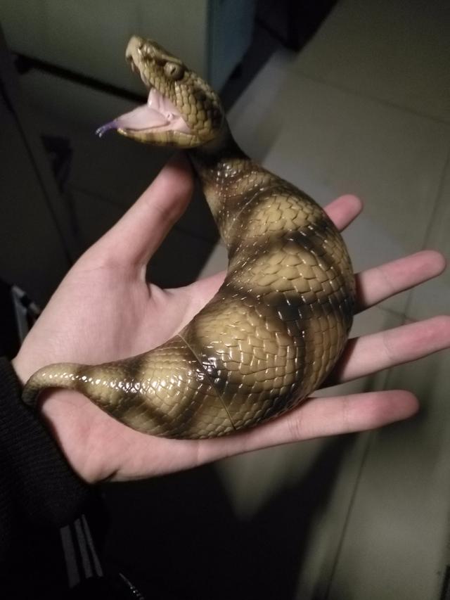 The mysterious Japanese legendary snake: Son of the Earth, whoever ...