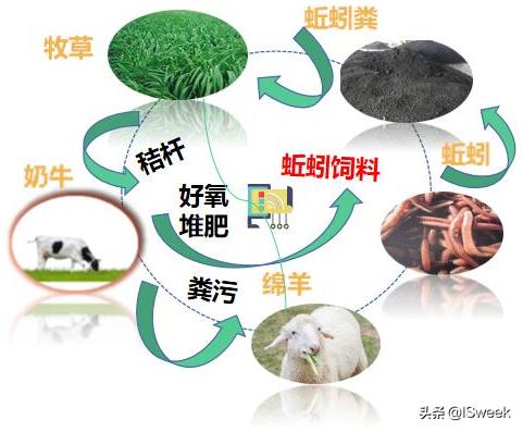 Flange type high temperature oxygen sensor is an effective means to ...