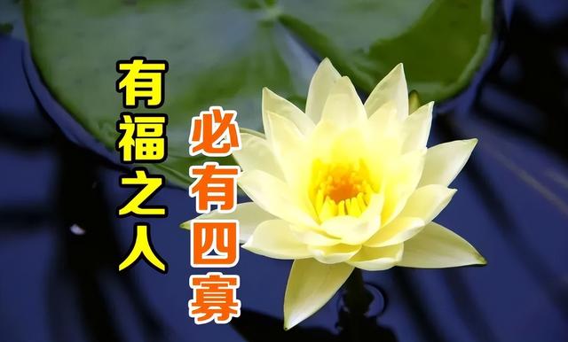 As the old saying goes: "A blessed person must have four widows." What ...