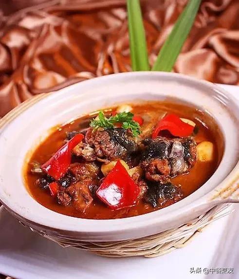 8 soft-shelled turtle dishes that restaurants are most likely to sell ...