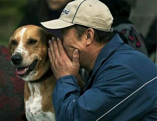 There are only three characteristics of "dog slaves", which means that ...