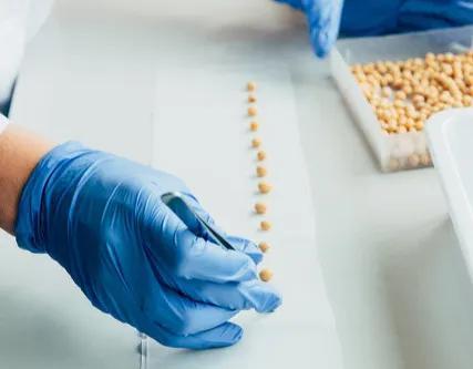 A technology creates a miracle - iMedia