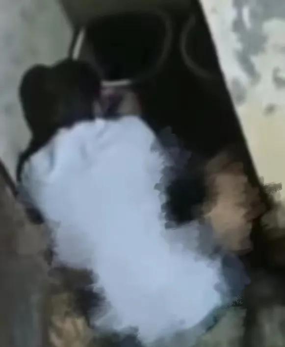 After lizard case in India, man raped dog at home, dog lovers claim ...