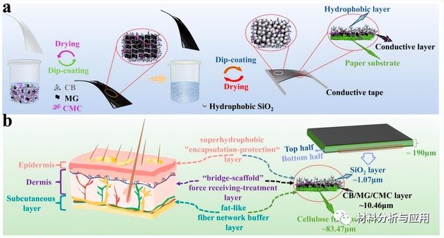 Progress in research on new superhydrophobic cellulose paper-based ...
