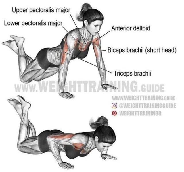 Challenge to do 50 push-ups a day, how will your body change after a ...