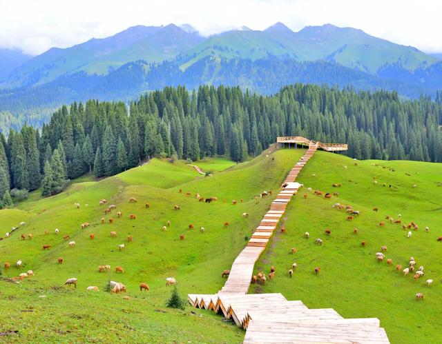 Xinjiang self-driving 48-day itinerary, scenic spots and accommodation ...