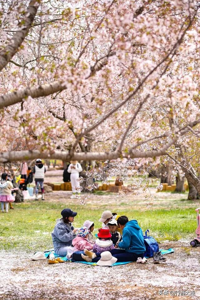 Accept this Qingming outing guide and meet the most beautiful April day ...