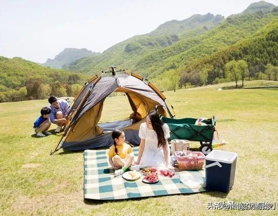 Spring is super suitable for spring outings! The sun is just right! Let ...