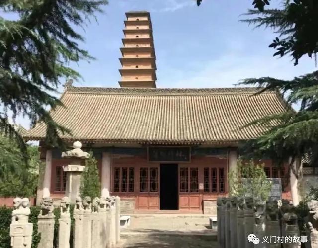 The magnificent Pucheng blooms gloriously - iMedia