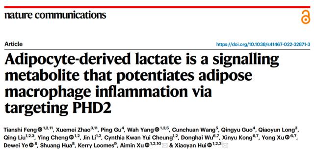Hui Xiaoyan and Xu Aimin Reveal the New Mechanism of "Metabolic Waste ...