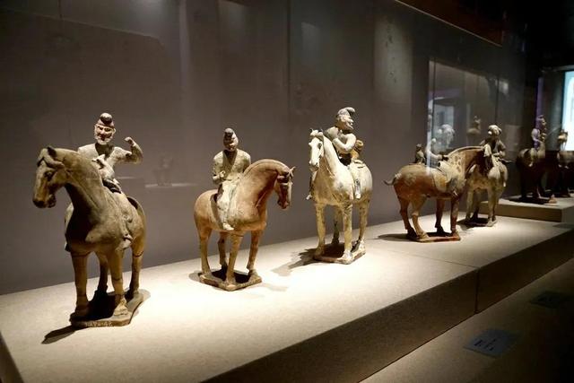 The pet of Tang Dynasty nobles - iMedia