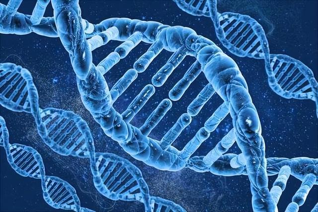 Enzo Life Sciences Human Cot DNA's Role in the Human Genome - iMedia