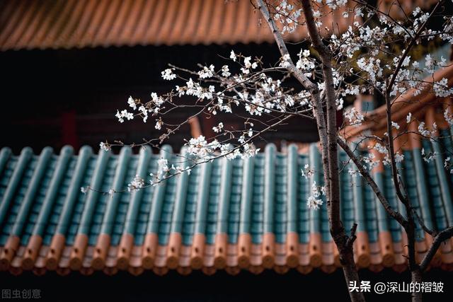 The modern poet with a pure heart~Zhu Xiang~ was praised by Lu Xun as ...