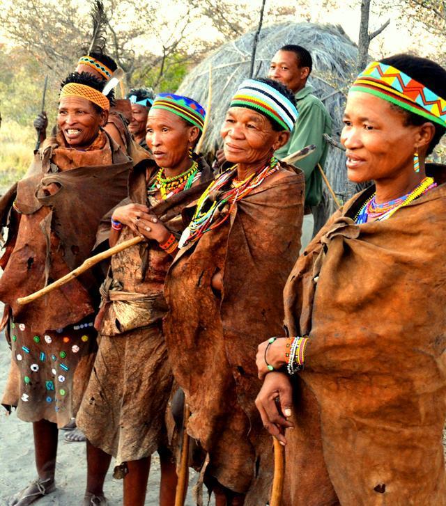 Two thousand years ago, the Bushmen used poisoned arrows to hunt, but ...