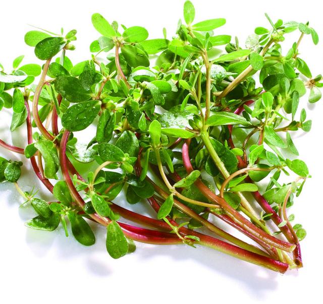 This article will take you through the "damp and heat constitution" and ...