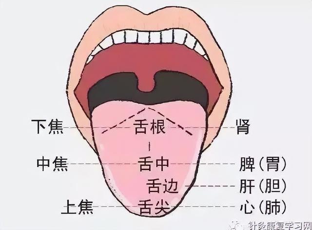 What does a healthy tongue look like? - iMedia