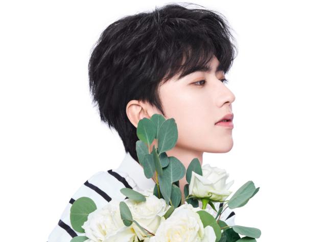Liu Dachui wants to reveal "NINE PERCENT", but why did netizens exclude ...