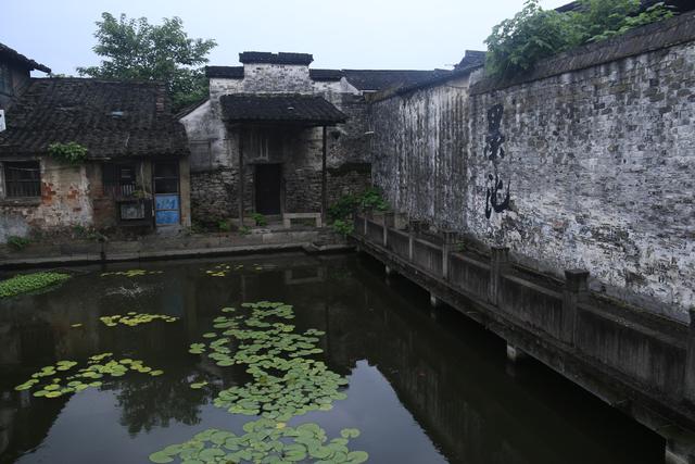 Eat Shaoxing food at Mochi restaurant next to Mochi - iMedia