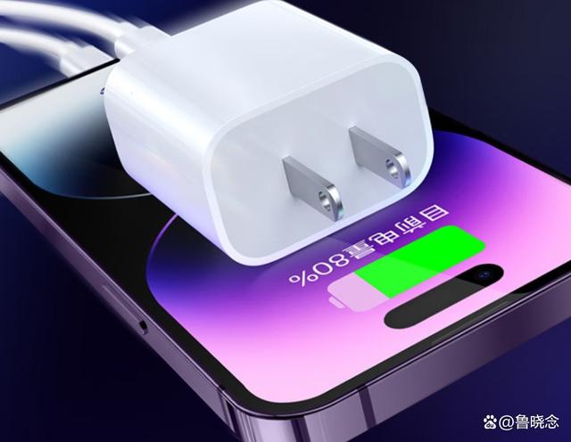 How to check the authenticity of Apple original charger - iMedia