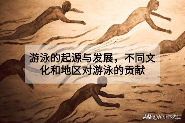 The origin and development of swimming, the contribution of different ...