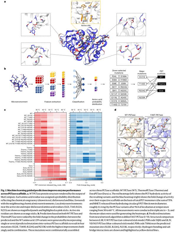 Machine learning-assisted engineering of PET depolymerizing hydrolases ...