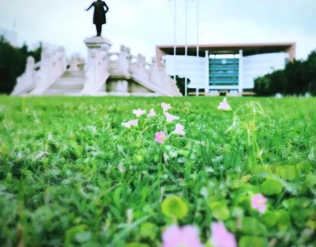 (History of Chinese Literature) Chu Ci, "Nine Songs", Vanilla Beauty ...