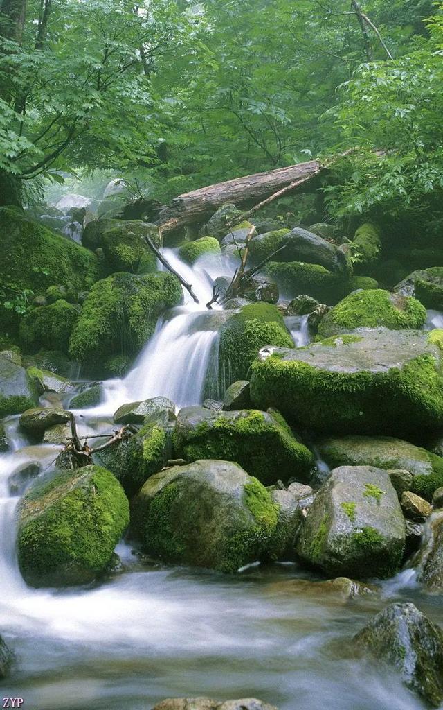 Appreciation of 100 award-winning photography works of beautiful ...