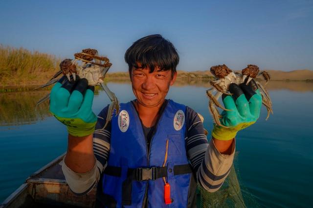 The crab you eat actually comes from the desert?Xinjiang is so arid ...