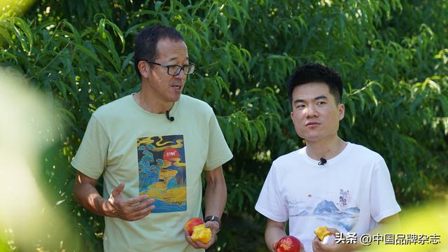 how did they survive - iMedia