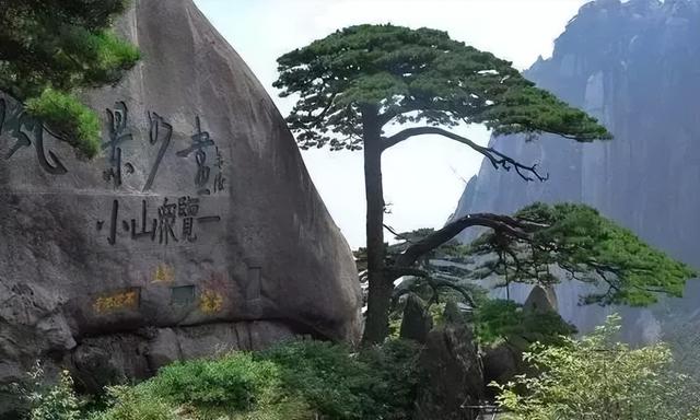 One of the ten most famous trees in China is said to have been planted ...