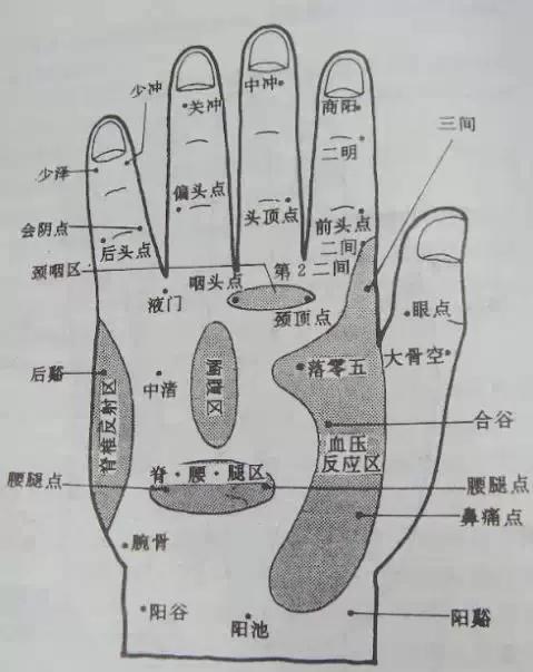 Acupuncture points on the palm and back of the hand that can cure all ...