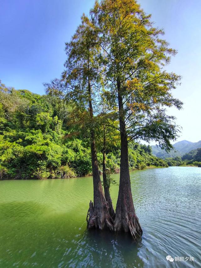 Beautiful lake, return to beauty - iMedia