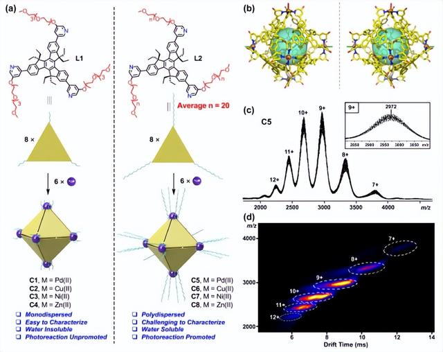 Water-soluble metal supramolecular cages as nanoreactors mediate photocatalytic cross-coupling ...