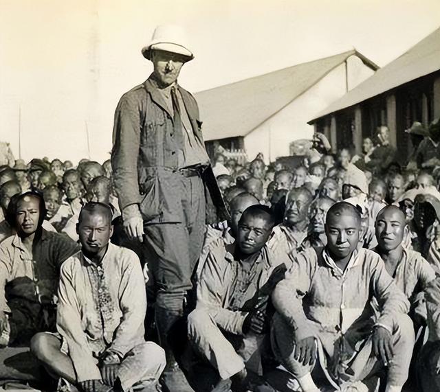 In the late Qing Dynasty: Chinese laborers were tortured as coolies in ...