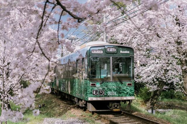 No need to go to Japan!China also has a "train to spring" that can ...