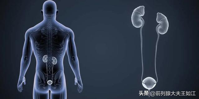 Kidney deficiency, where is the deficiency? - iMedia