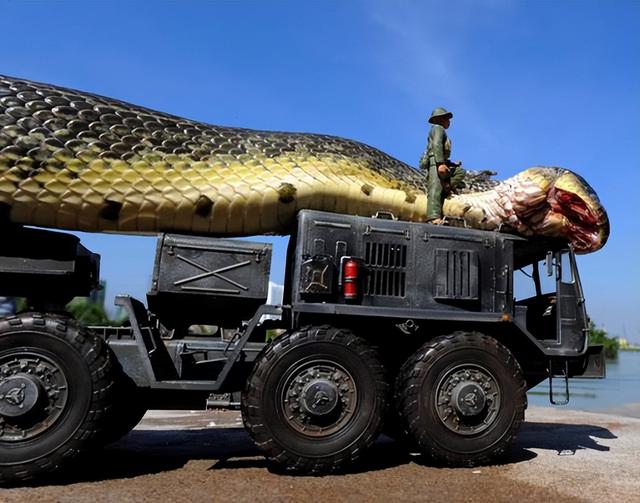 How big can snakes get?Is the world's largest snake lurking in the deep ...