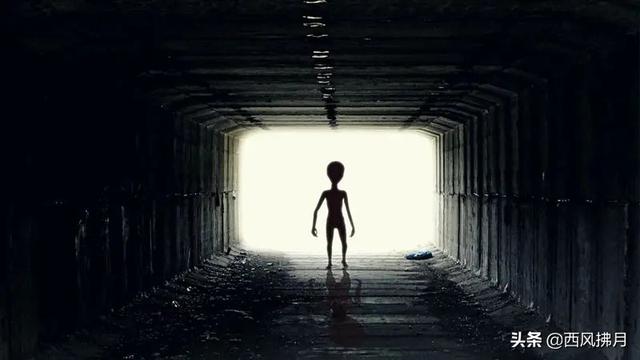 Capture aliens!Naked "little grey man" flies into the field, super-real ...
