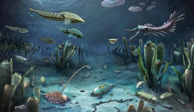 Linyi Fauna: A New Window to Explore Cambrian Evolutionary Fauna - iMedia